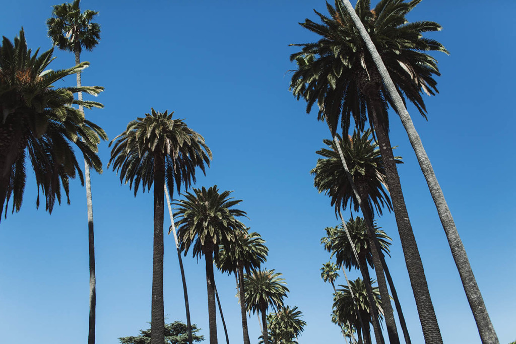 Platform Sandals Under a $100 | Hello Fashion