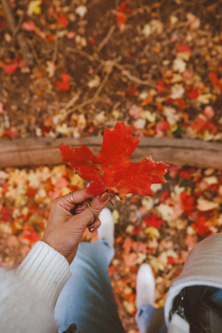 My Favorite Month of the Year | Hello Fashion